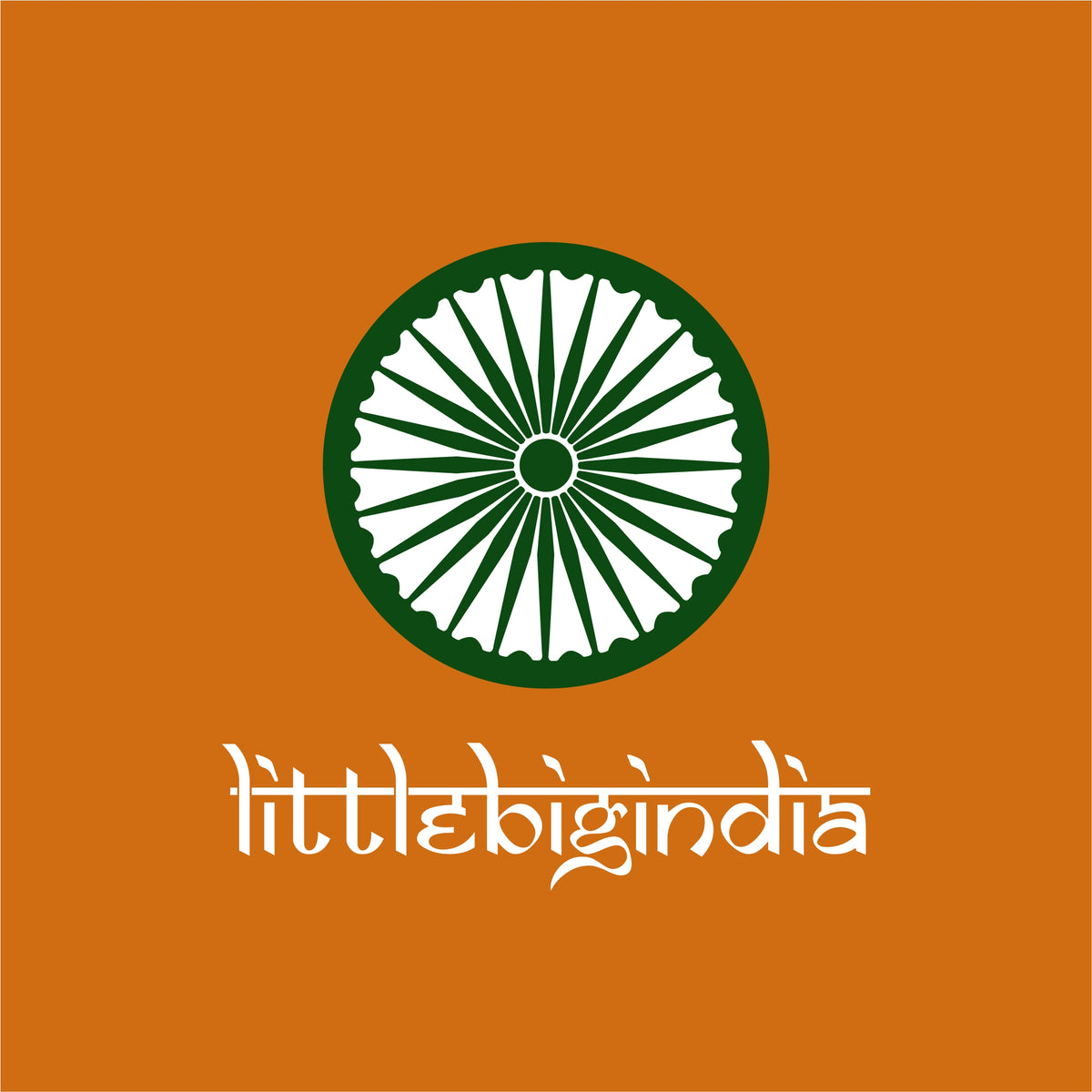 Team - Little Big India